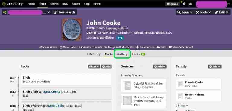 How to Add Photo Media to Your Ancestry Tree | Nancy Dru