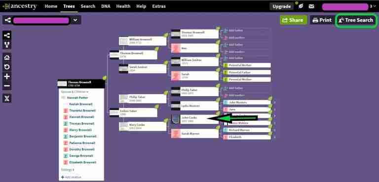 How to Add Photo Media to Your Ancestry Tree | Nancy Dru