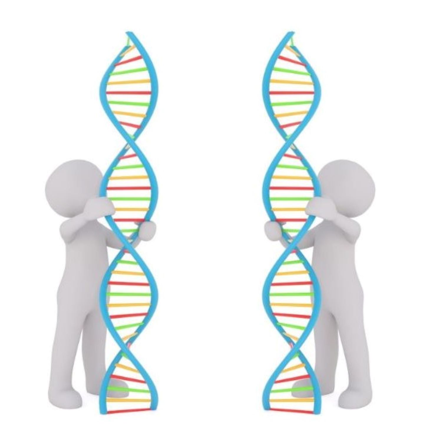 How To Create The Right DNA Access on Ancestry.com | Nancy Dru